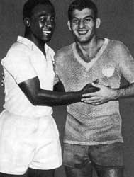 Stars Of BTLM – János Farkas – Beyond The Last Man