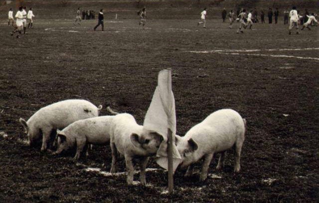 Farmyard Football – Beyond The Last Man