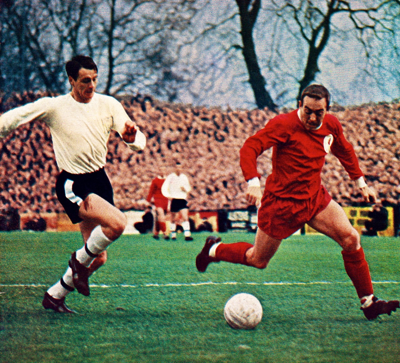 Fulham Vintage 1951-66 – Beyond The Last Man